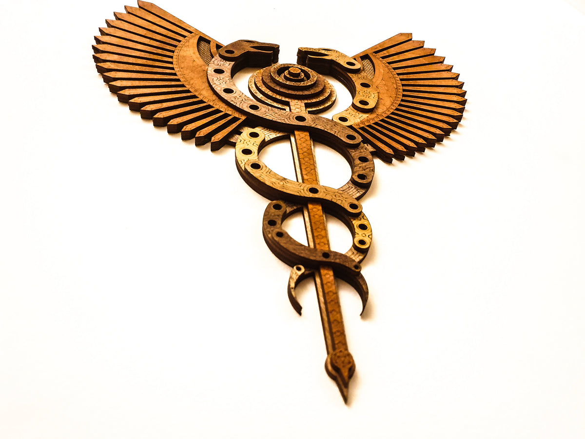 The Caduceus – Dan Schaub